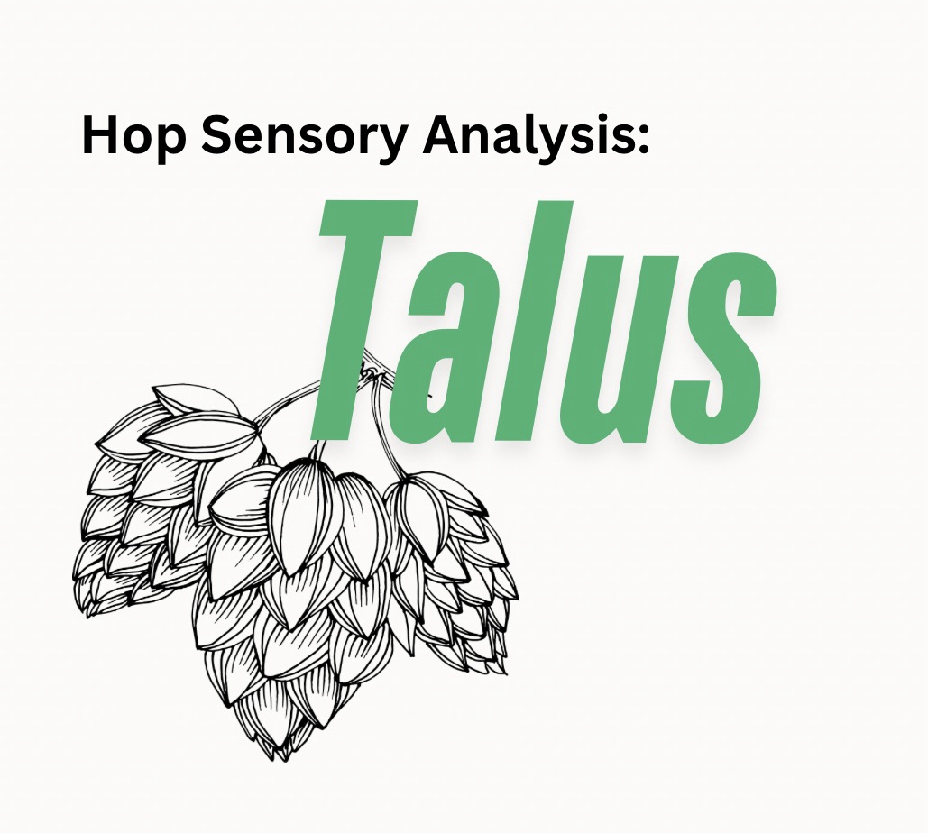 Talus | Hop Sensory Analysis With Oil Creek Brewing – MASHOUT MAGAZINE