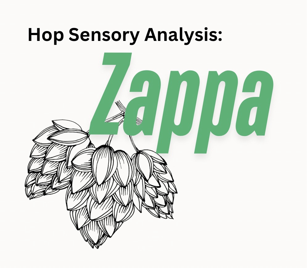 Zappa | Hop Sensory Analysis With Oil Creek Brewing – MASHOUT MAGAZINE