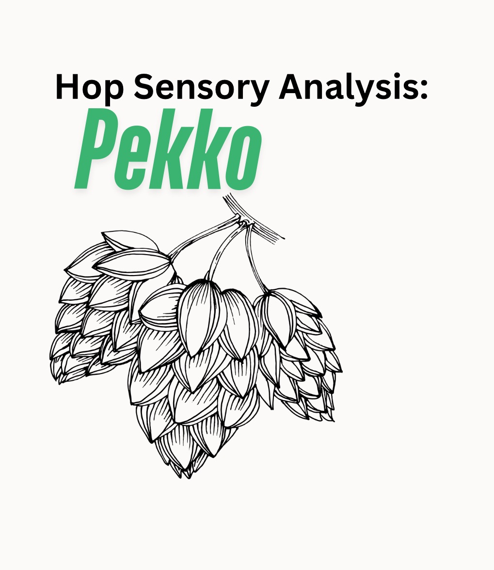 Pekko | Hop Sensory Analysis With Oil Creek Brewing – MASHOUT MAGAZINE