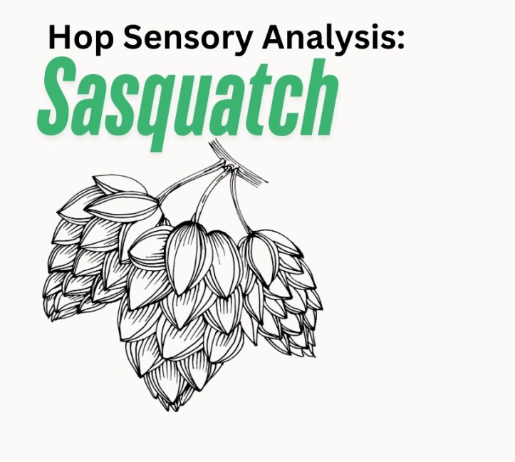 Sasquatch| Hop Sensory Analysis With Oil Creek Brewing – MASHOUT MAGAZINE